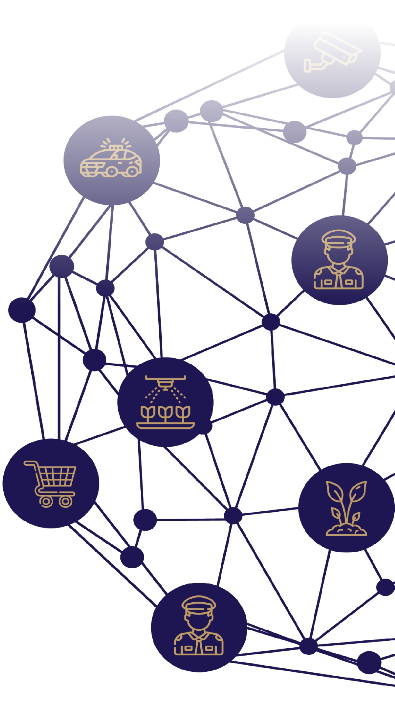 Princeton Security - A Multi-Service Solutions Provider